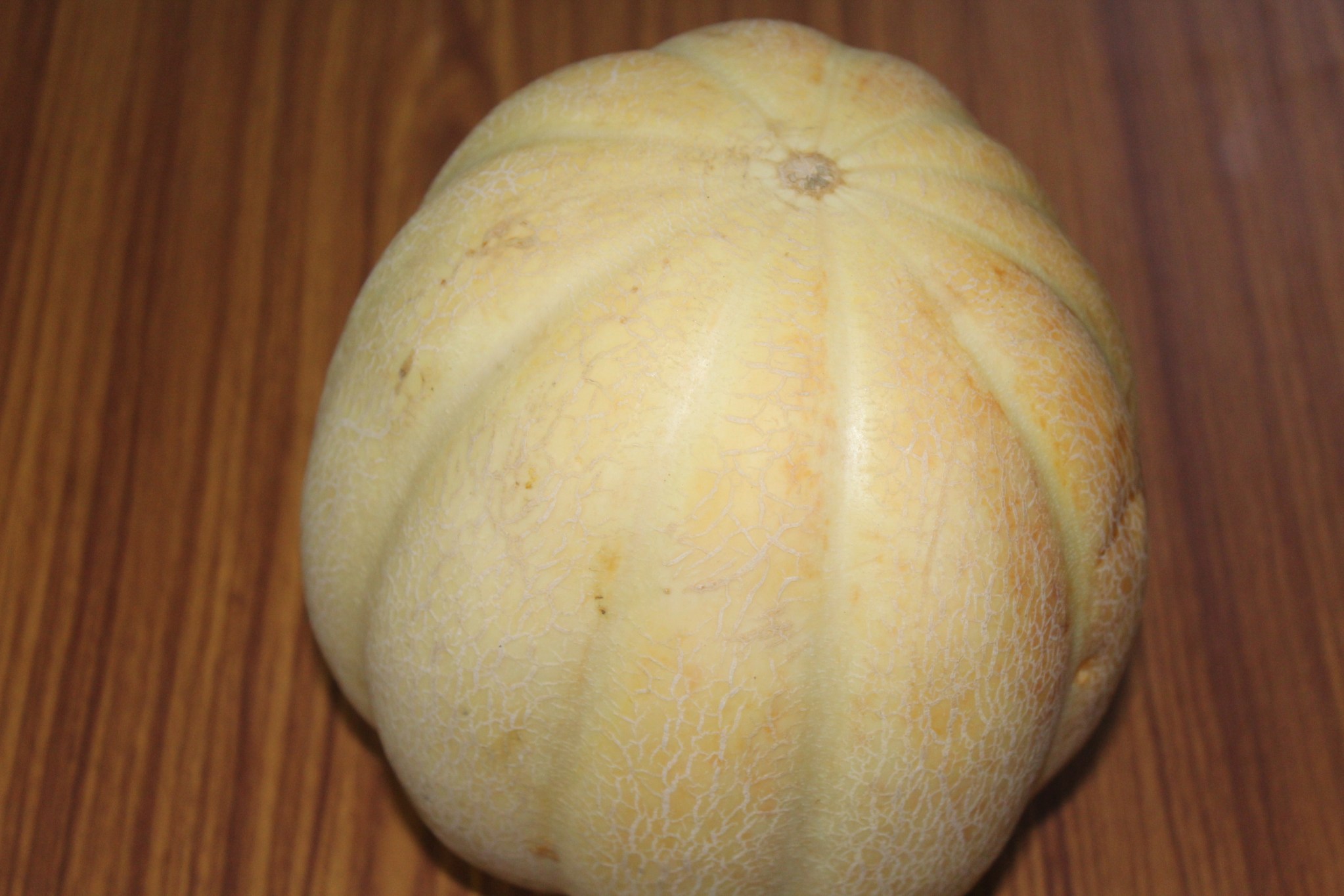 MUSKMELON JUICE – MY FOOD PASSION
